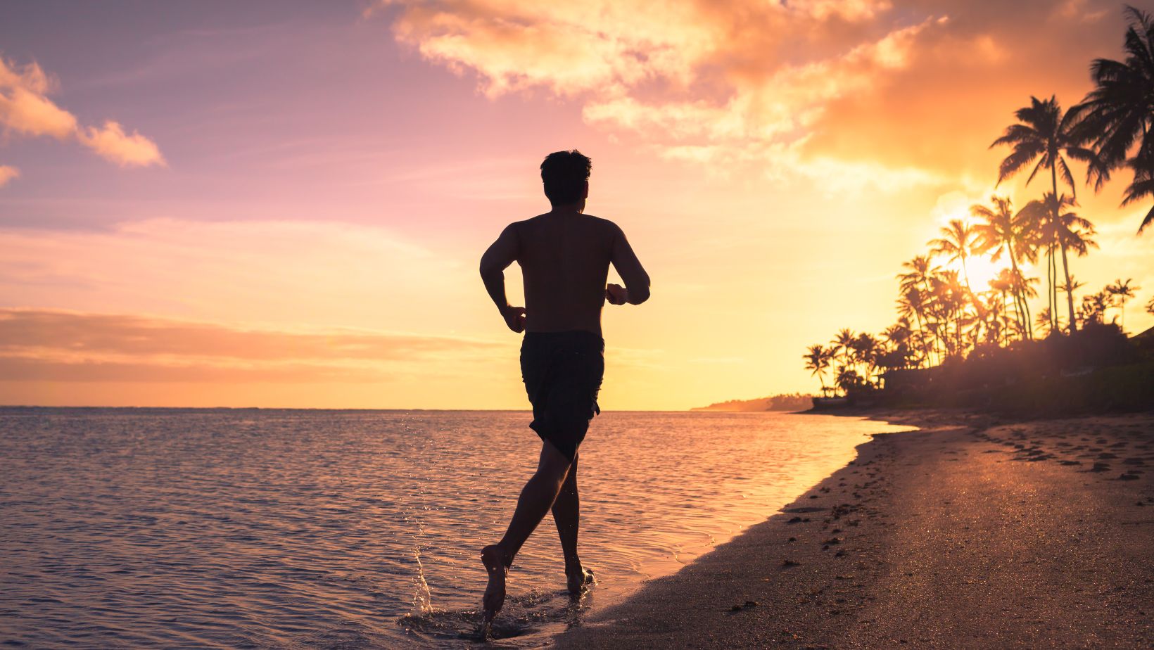 Elevate Your Performance and Versatility: Switch Sports - gatorgross.com